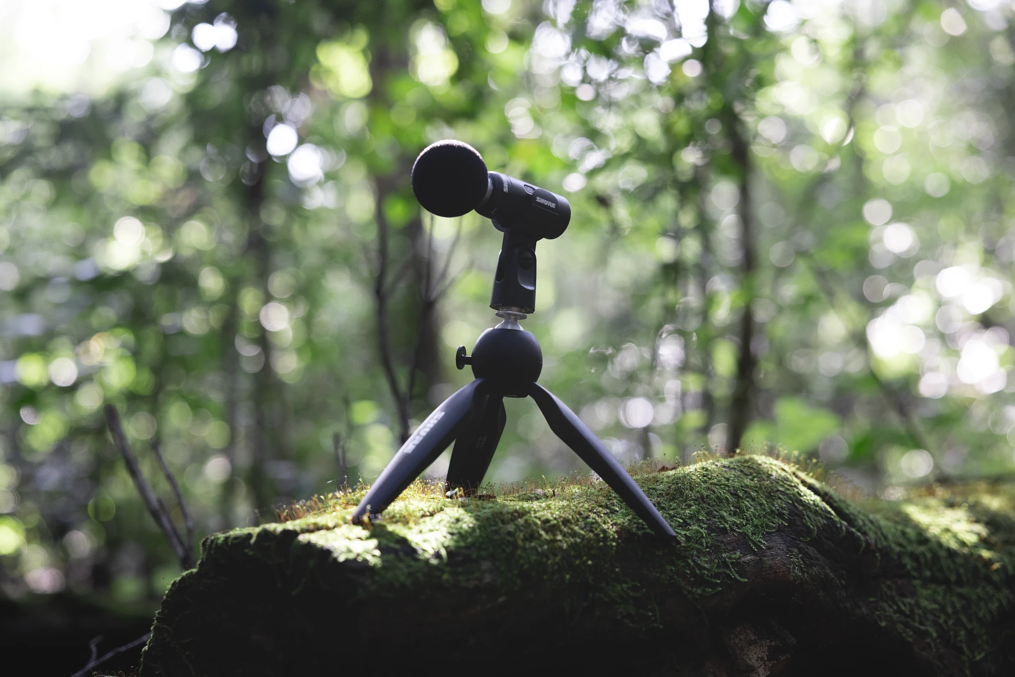 Shure unveils MoveMic 88+ Wireless Stereo Microphone - Installation